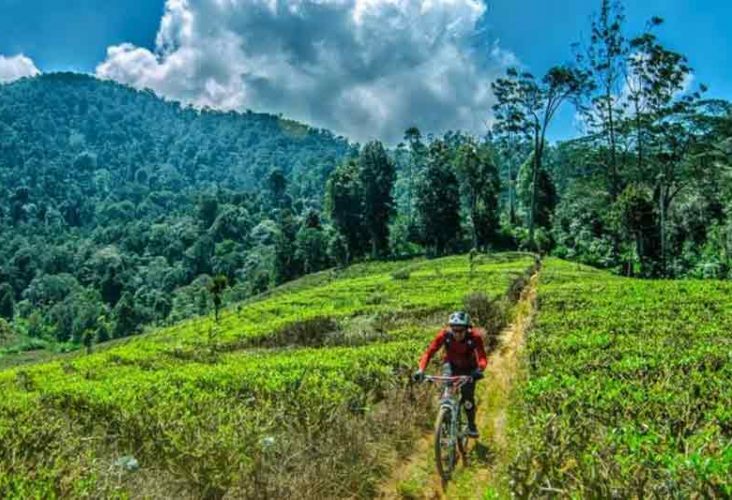 Produk Outbound Cileunca Adventure